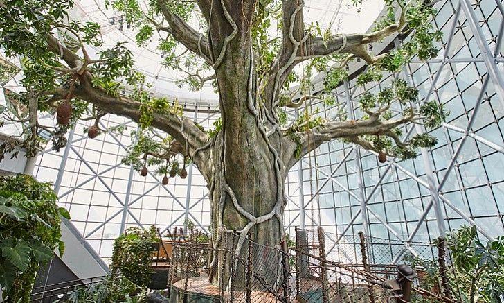 Dubai's Very Own Tropical Rainforest to Open Soon at Citywalk - Masala.com
