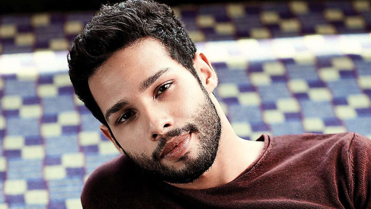 Siddhant Chaturvedi to work opposite Bollywood superstars in upcoming ...
