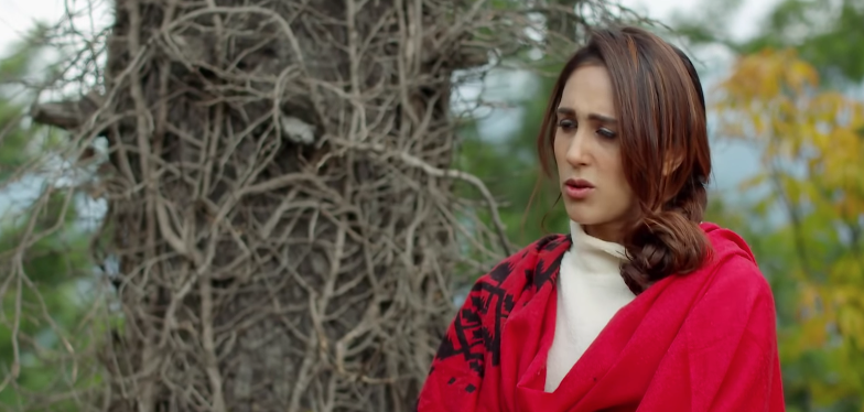 Ye Dil Mera Episode 23: Neelofar And Humaira Clear Their ...