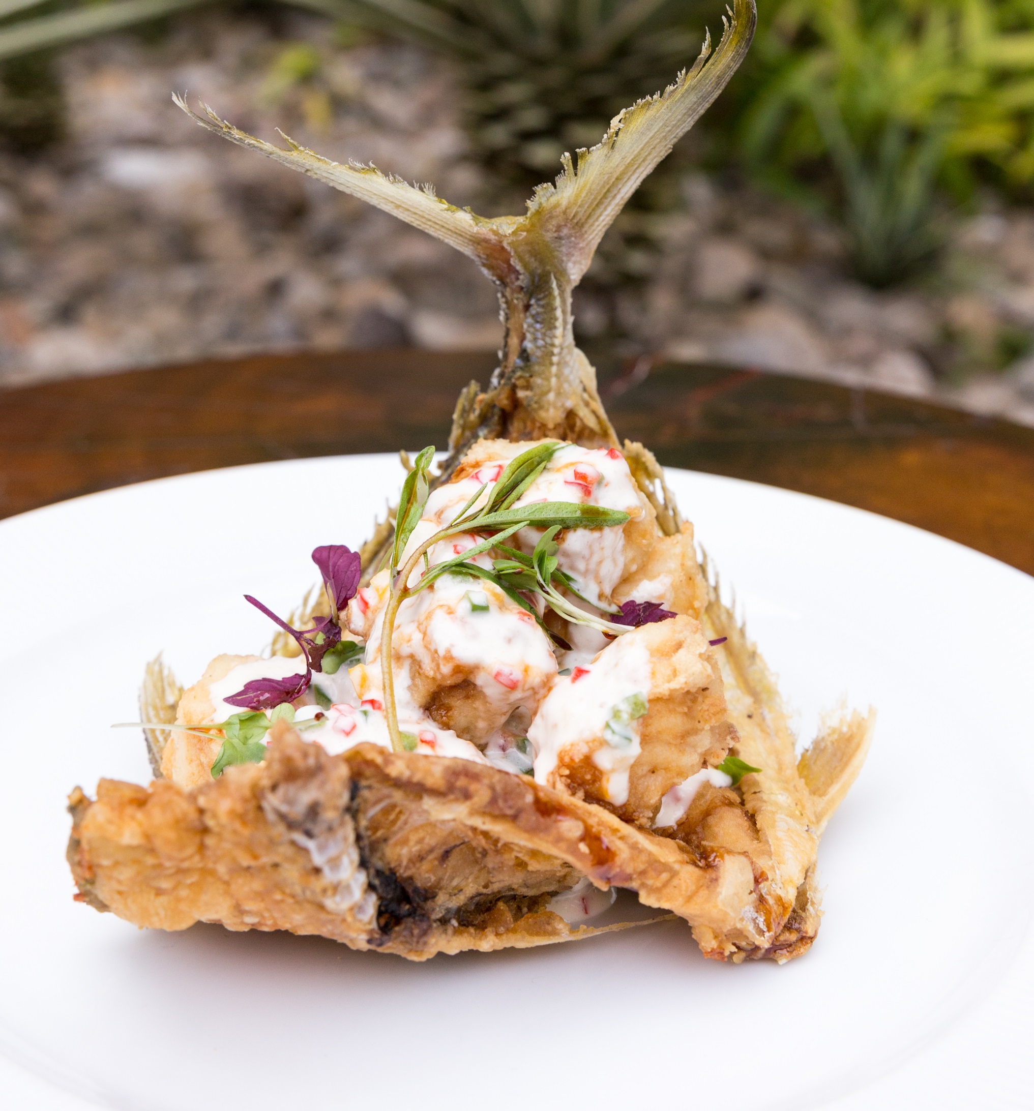 Ramadan 2018: Dubai Iftar and Suhoors You Need to Try! - Masala.com