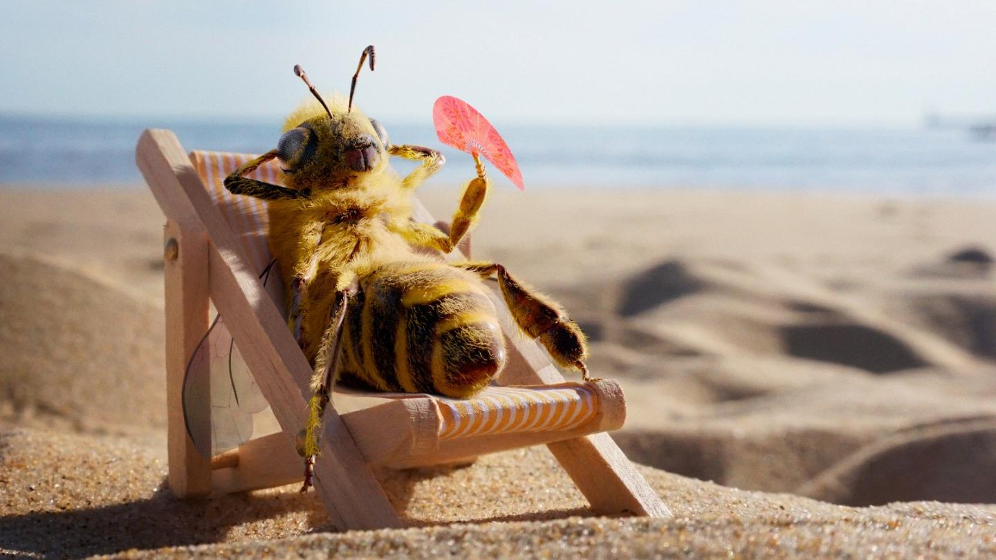 World's First Bee Influencer is Creating a Buzz on Instagram to Save ...