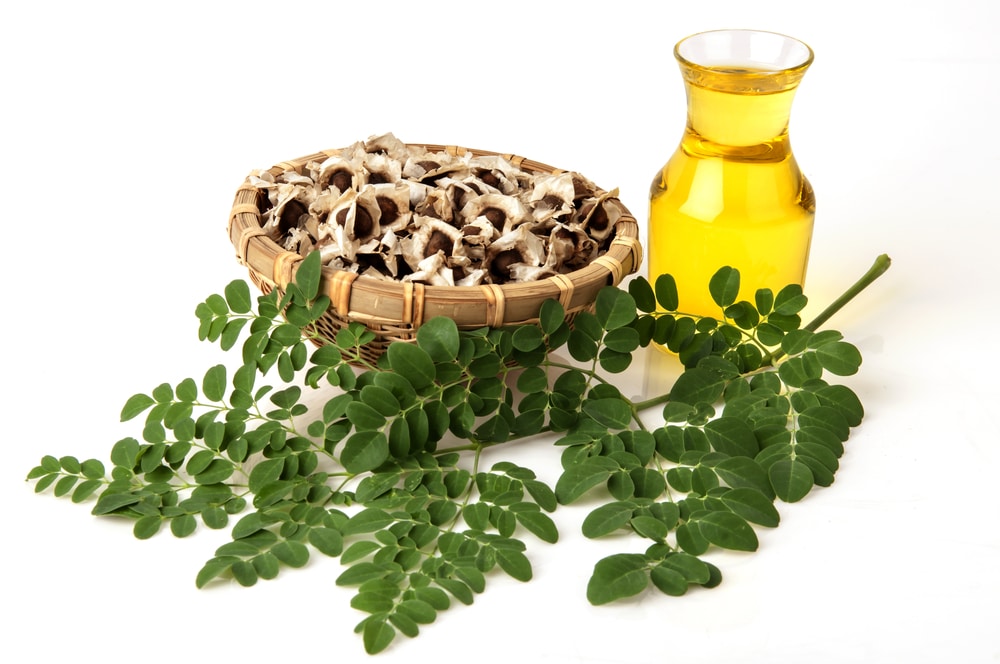 5 Beauty Benefits of Moringa Oil - Masala.com