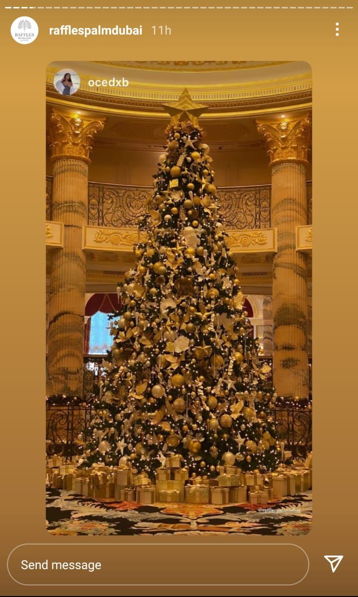 In Pics: Stunning Christmas Tree Lighting Pics from the BEST Dubai ...