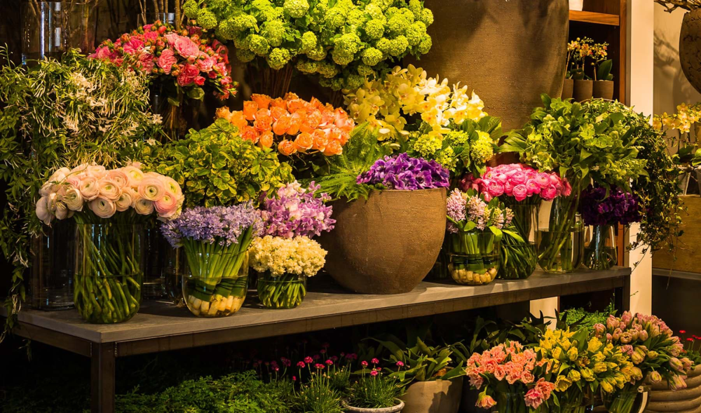 How to pick the perfect flowers for your home - Masala.com
