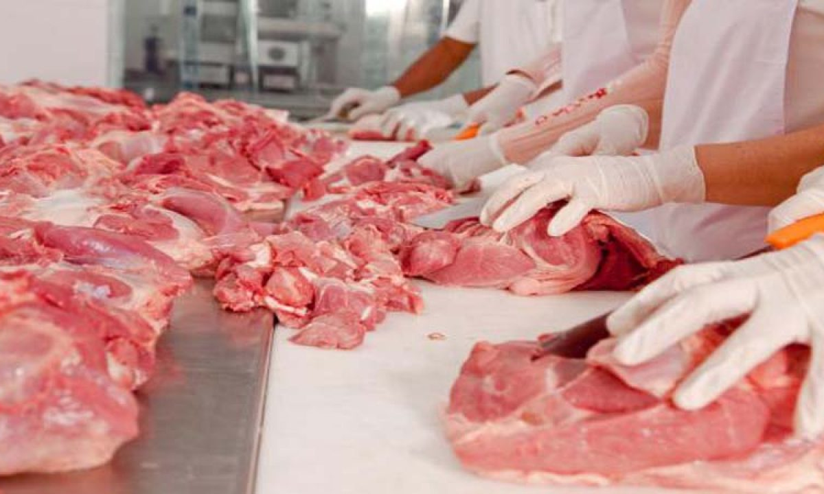 Eid Al Adha 2023: Here's how you can store meat efficiently - Masala.com