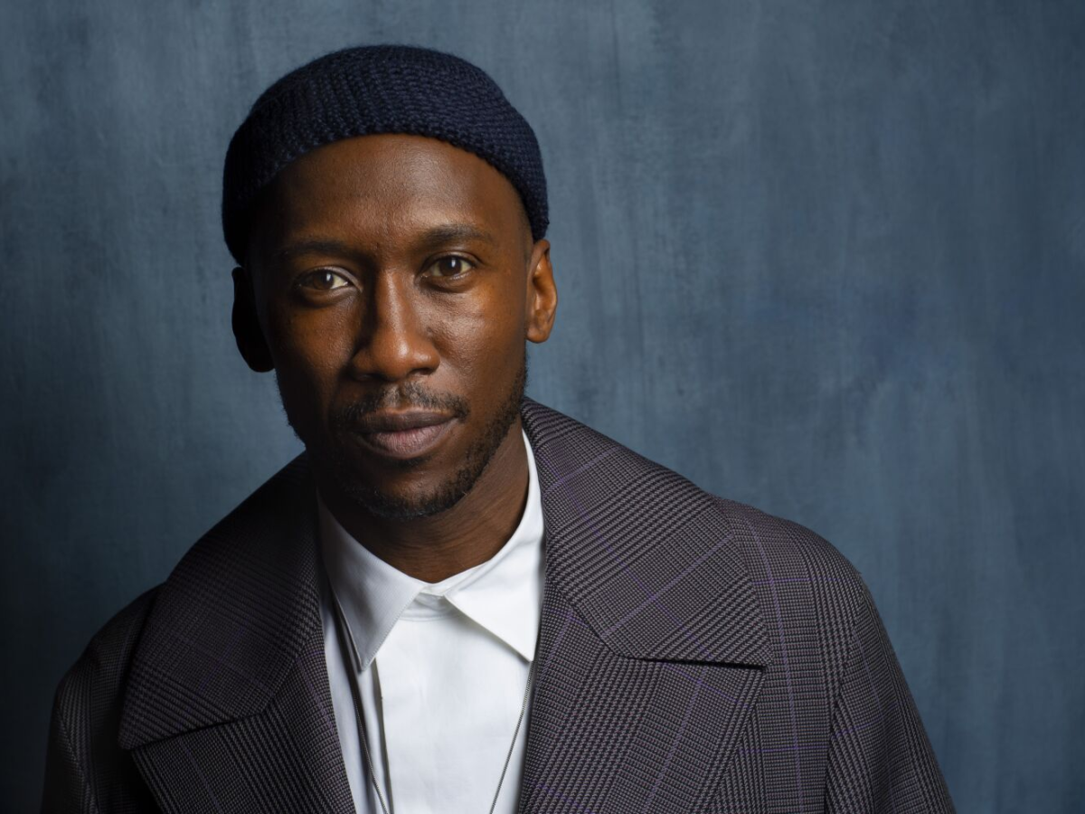 From Bella to Zayn: 5 popular celebs you probably didn't know were ...