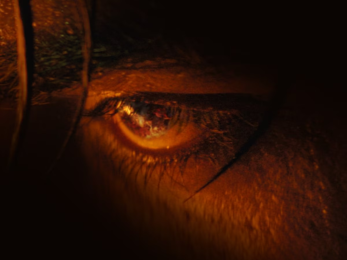 Jawan: Vijay Sethupathi's intense look from the film unveiled - see here - Masala.com