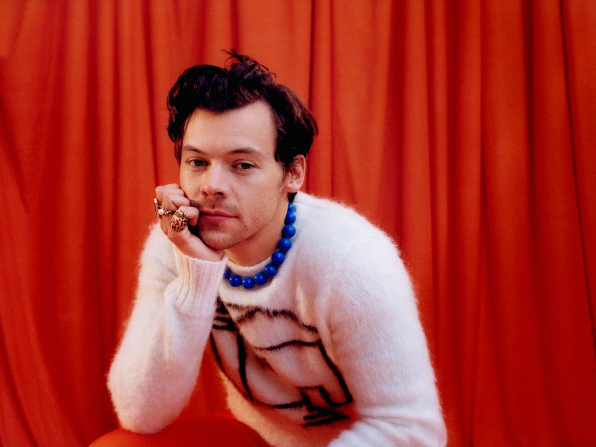 Harry Styles ditches the curls for a buzz cut and breaks the internet ...