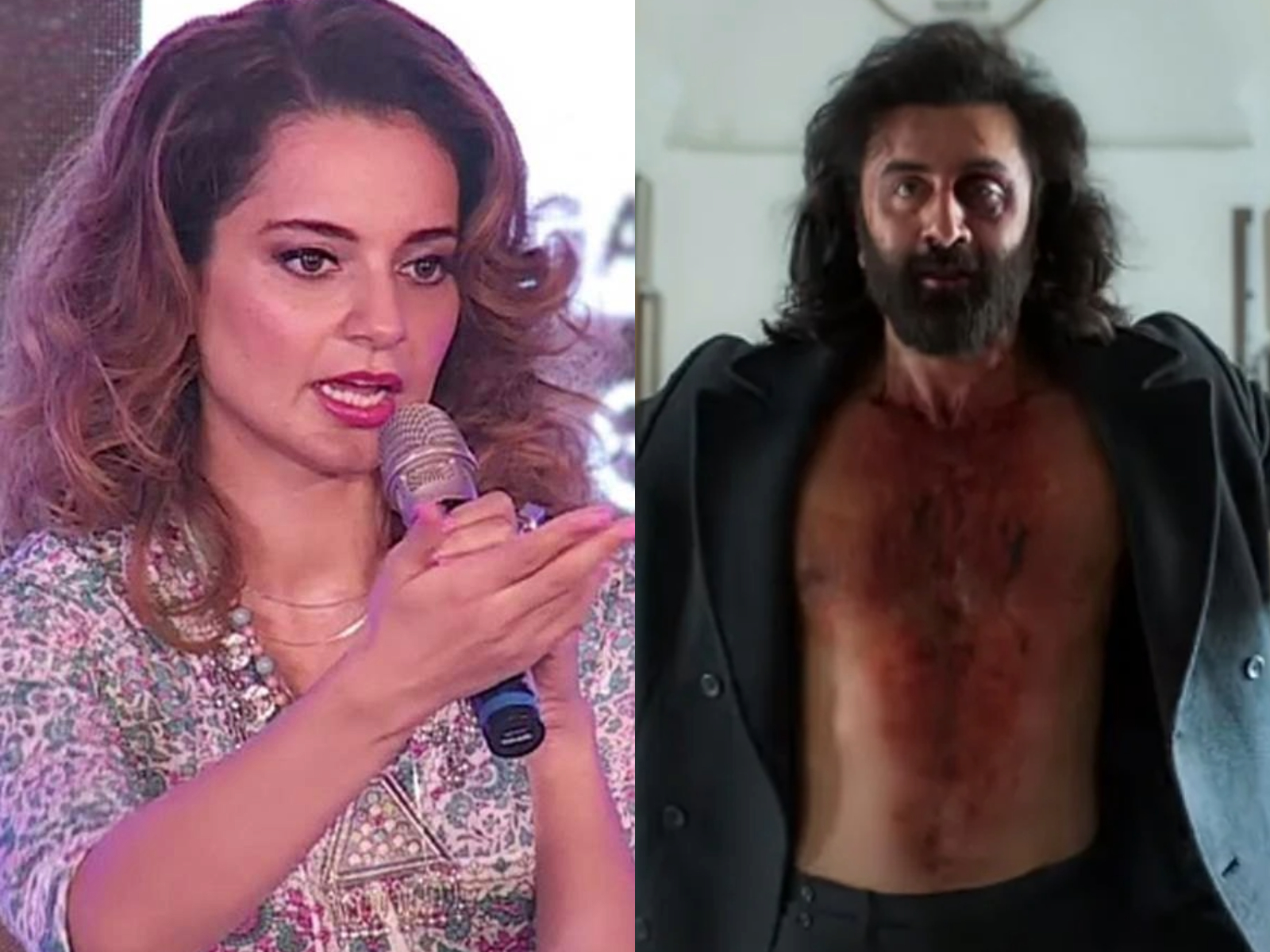 WATCH: Amid Animal controversy, Kangana Ranaut's old video on ...