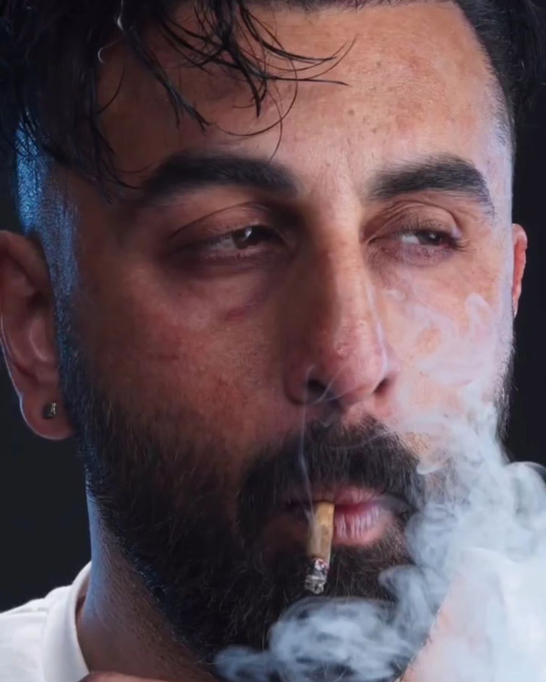 Animal sequel: Everything we know about the famous Animal Park - Masala.com