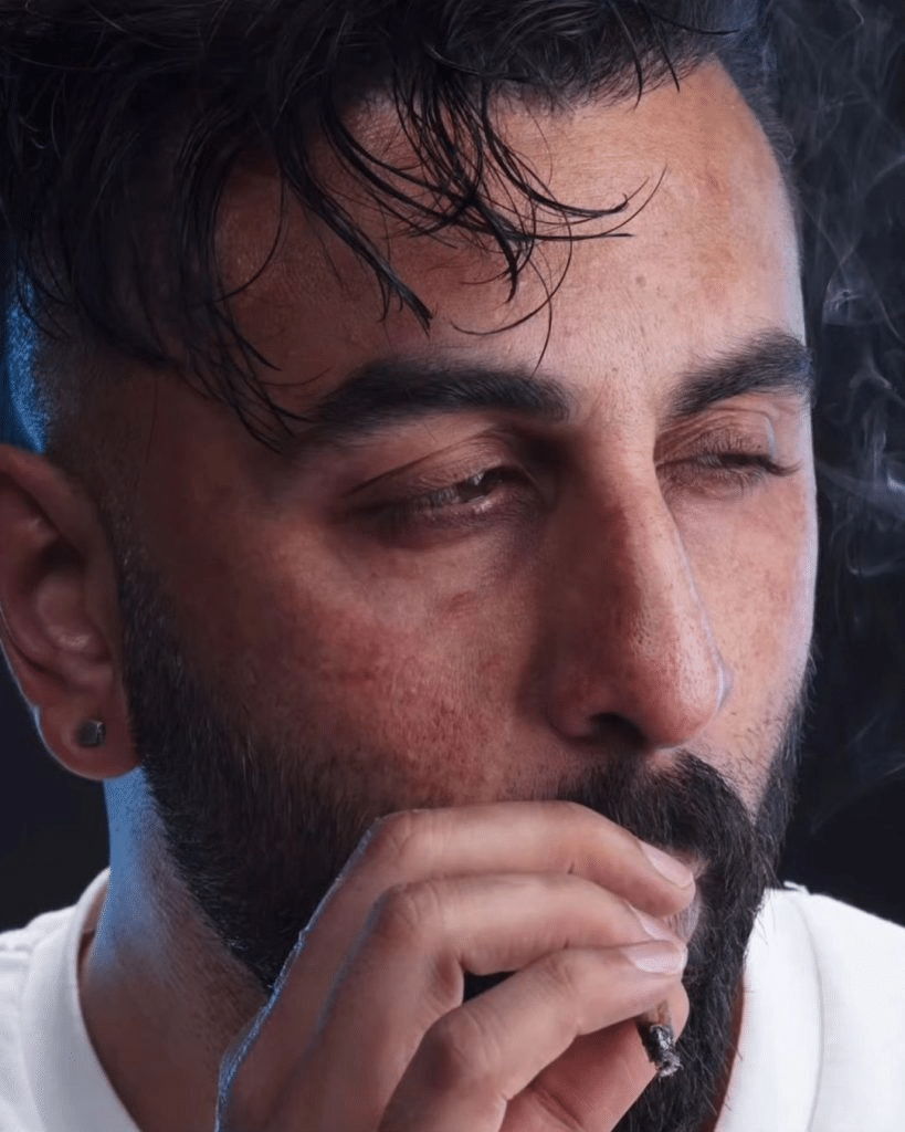 Animal Park: Here's everything we know about Ranbir Kapoor's film ...