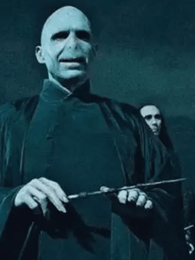 Did you know Voldemort's robe was not just one color but five? Here's ...