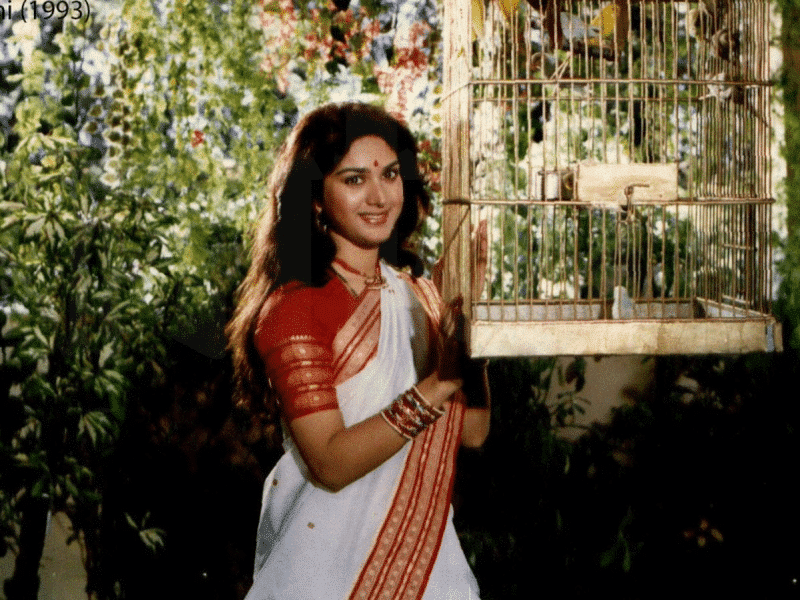 When Meenakshi Seshadri accused Rajkumar Santoshi of refusing to work with her in Damini after ...