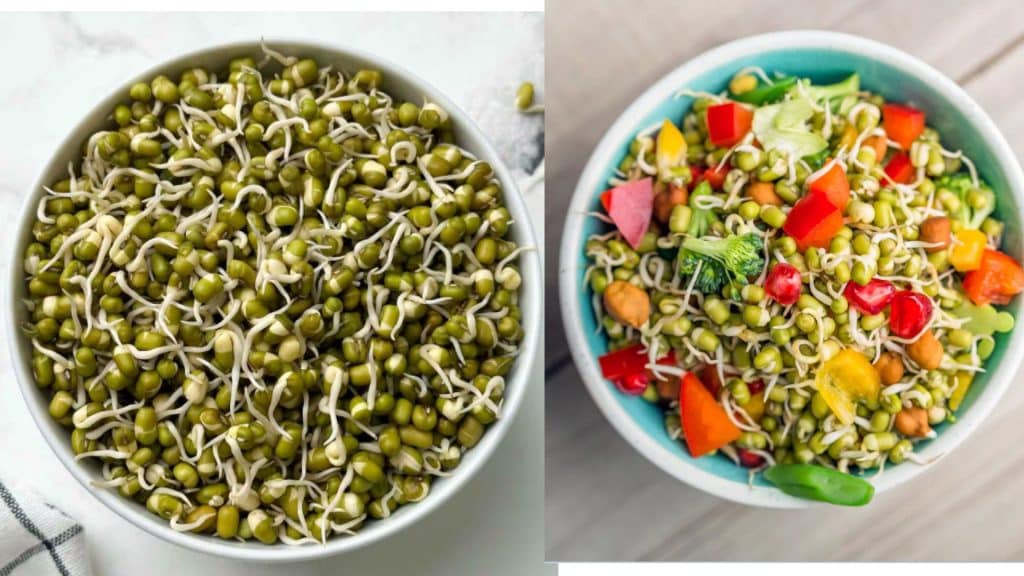 Sprouts are the ultimate morning superfoods! Here are 6 reasons why you ...