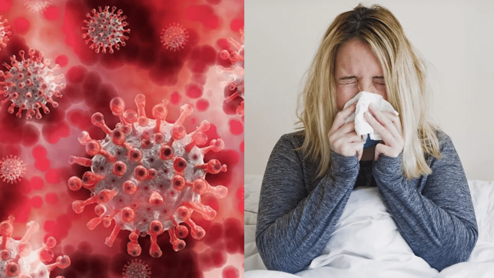 COVID XEC Variant: Here are some symptoms to look out for of this fast-spreading virus - Masala.com