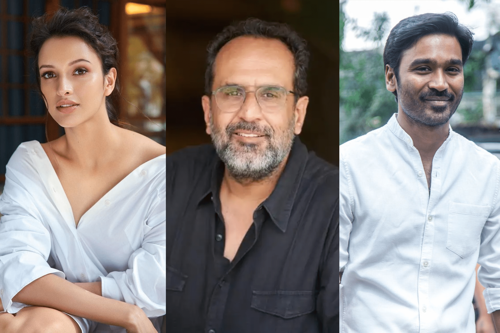 Triptii Dimri's Signing Spree: Will Animal's Bhabhi 2 be seen in Aanand L. Rai's Tere Ishk Mein ...