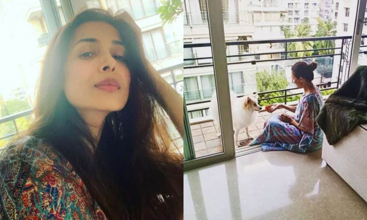 Malaika Arora Net-Worth: From a 4-BHK apartment to an enviable car collection, Malla's lifestyle ...