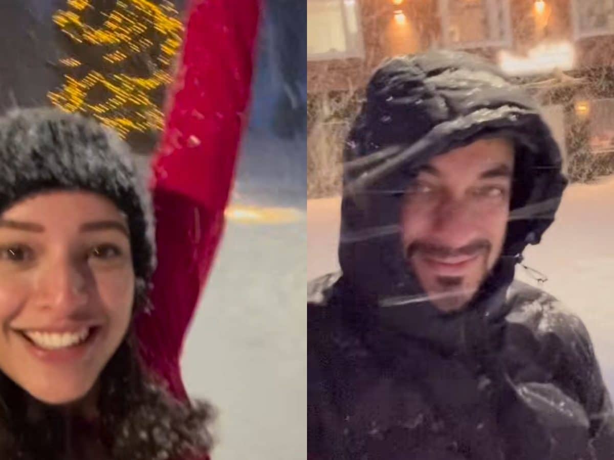 Is Triptii Dimri enjoying Northern lights & snowfall with rumoured beau ...