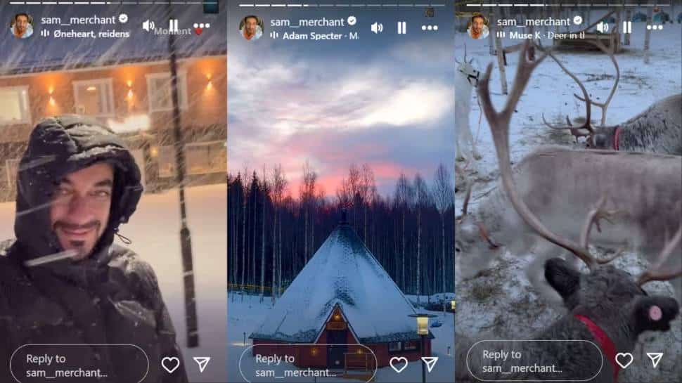 Is Triptii Dimri enjoying Northern lights & snowfall with rumoured beau ...
