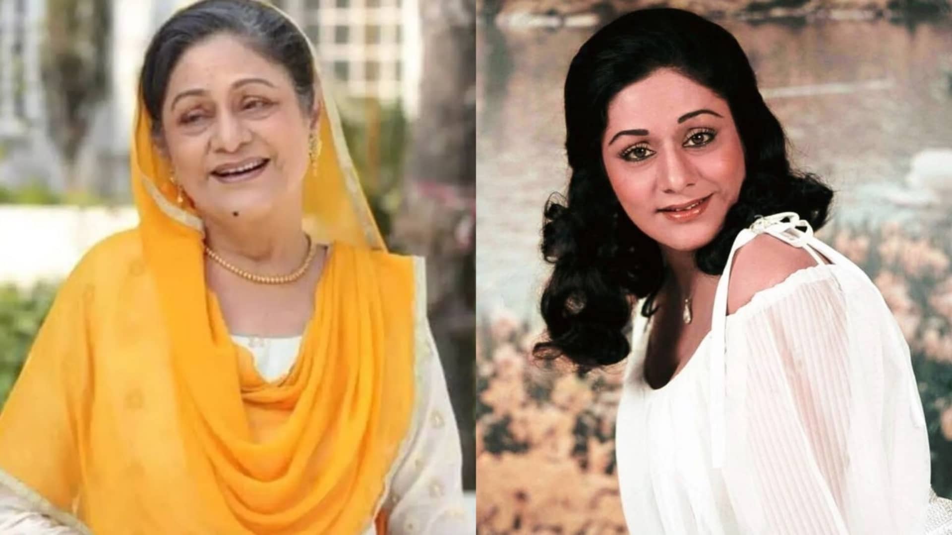 Actress Aruna Irani meets with an accident in Bangkok