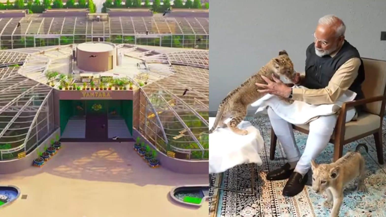 PM Modi inaugrates Vantara: When it will open for visitors?