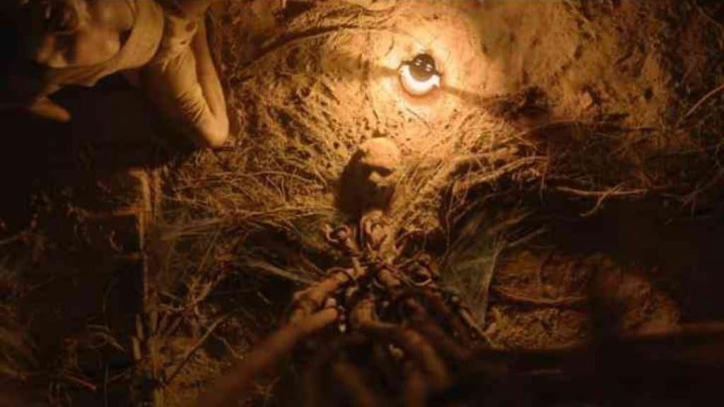 Tumbbad: Not Rahi Anil Barve, this director claims he directed Sohum ...