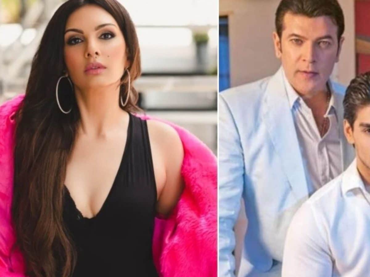 Salman Khan takes a dig at Sohail Khan's ex-wife Seema Sajdeh post their divorce