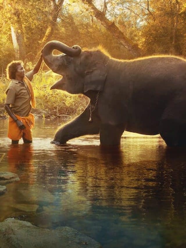 6 must-watch wildlife documentaries to inspire your kids on OTT ...