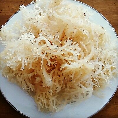 Kim Kardashian Feasts On Sea Moss Smoothie As Her Morning Ritual ...