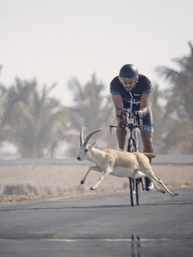 10 photos that prove Sheikh Hamdan is the world's most athletic royal ...
