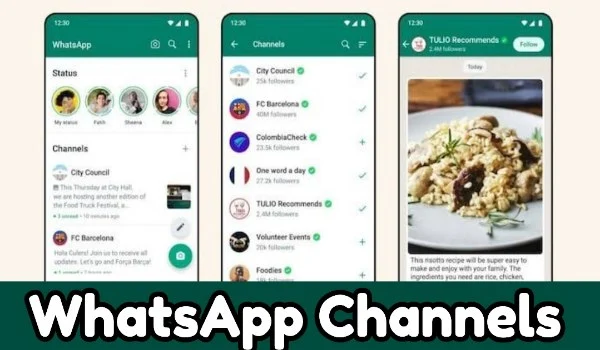 WhatsApp Channels rolled out in the UAE: What does the new feature offer? Find out here - Masala.com