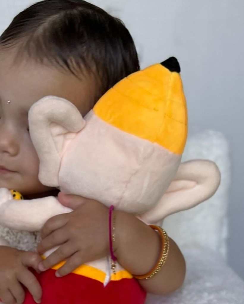 In Pictures: Priyanka Chopra's heartwarming Ganesh Chaturthi ...