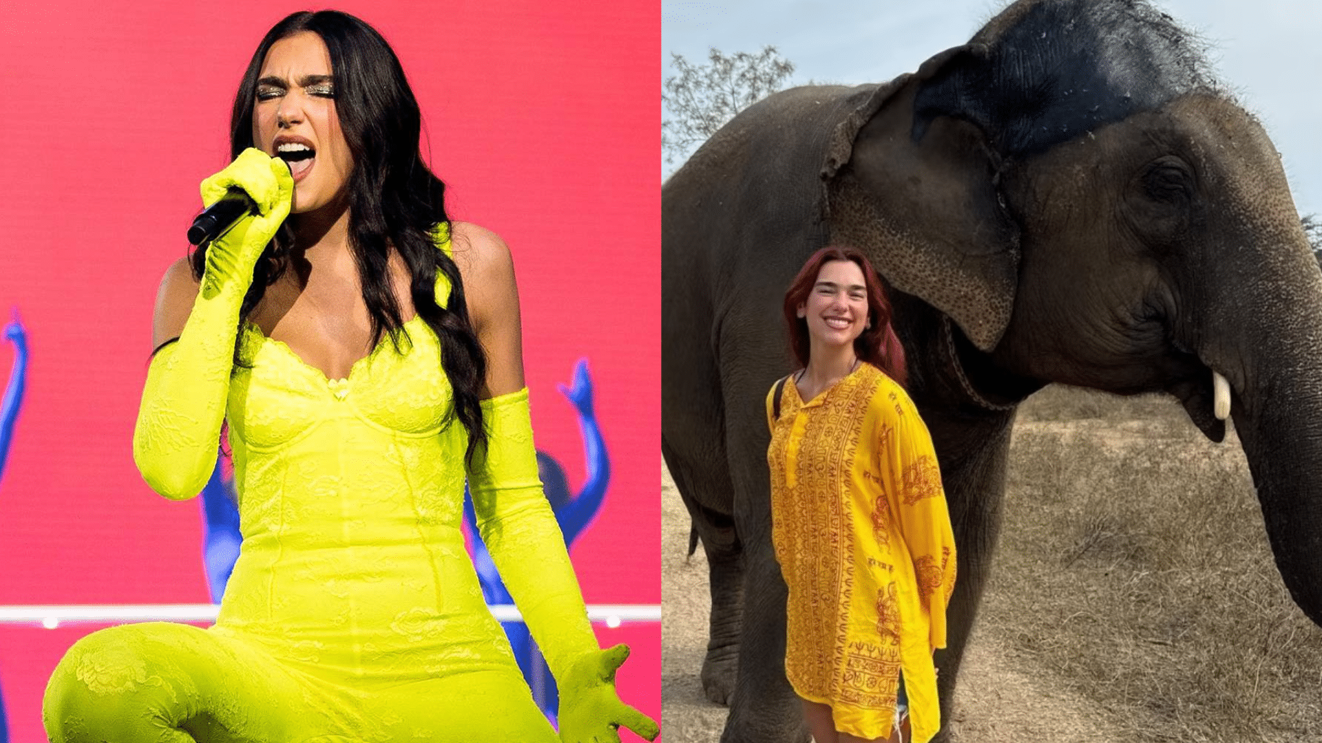 Dua Lipa calls her 2023 India trip a "beautiful reminder" of her love ...