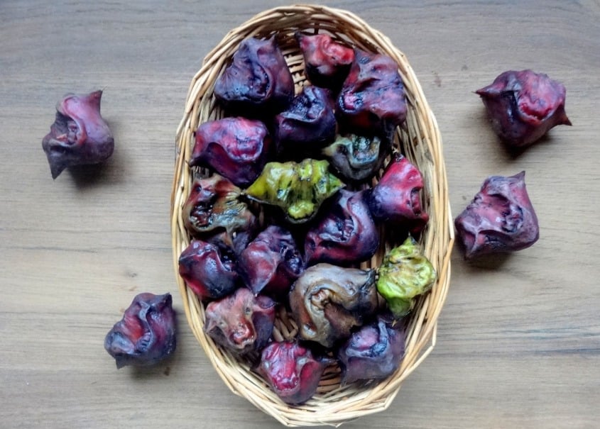 Bhagyashree shares a video defining the health benefits of eating Water ...